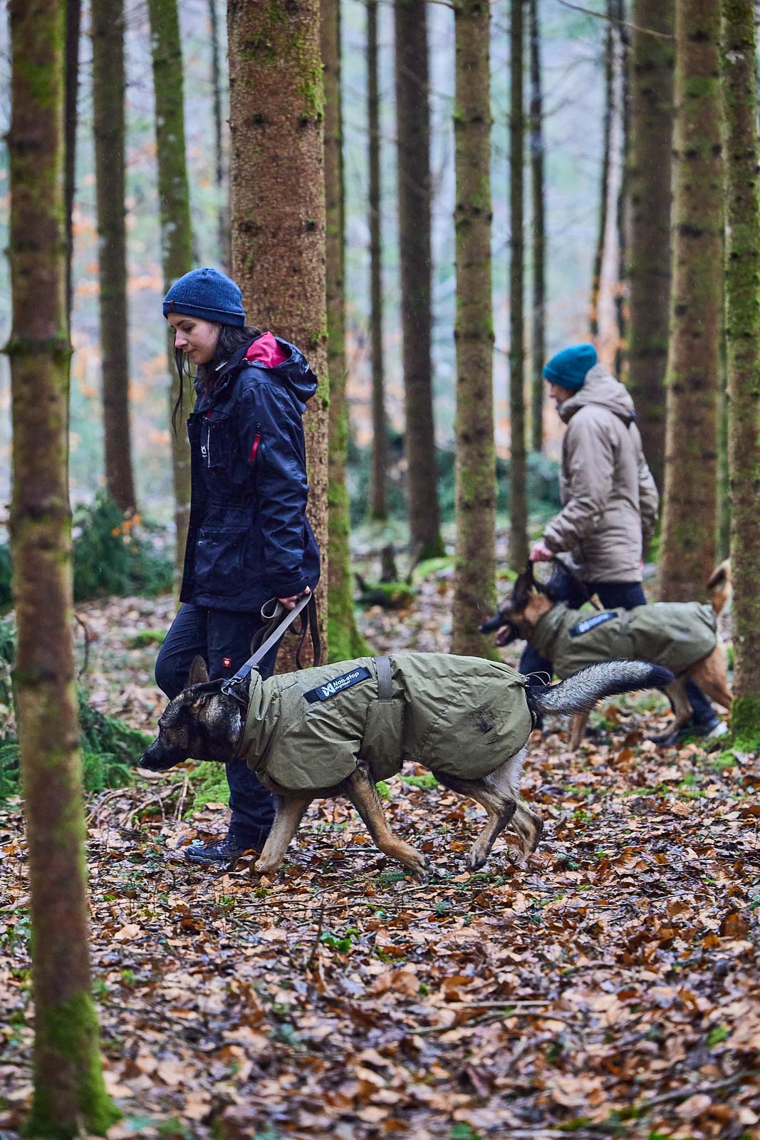 Warm working dog jacket | Glacier dog jacket WD – Non-stop professional